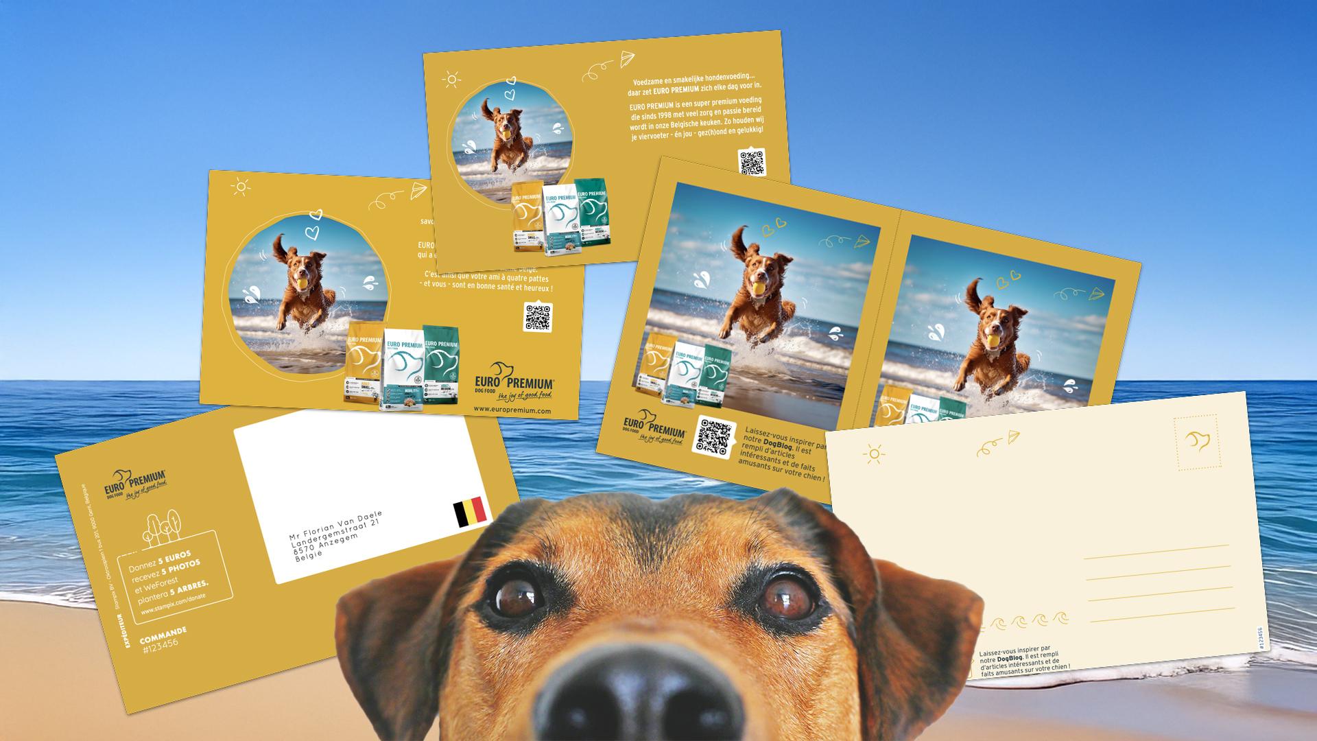 Stampix - EURO PREMIUM